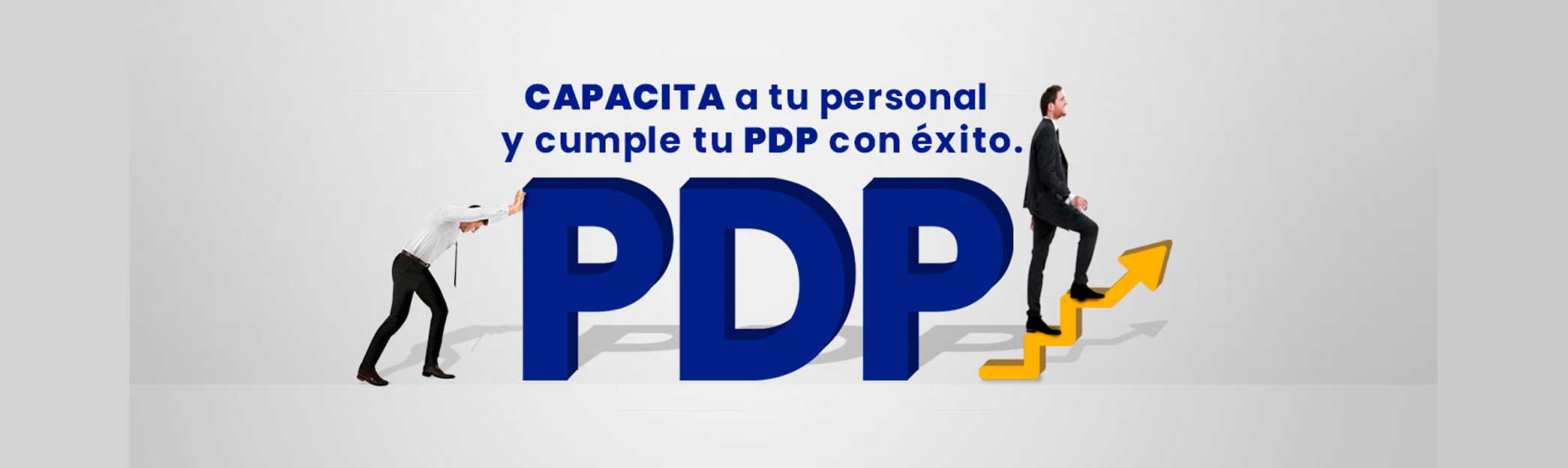 CEPEG - Centro Peruano de Estudios Gubernamentales